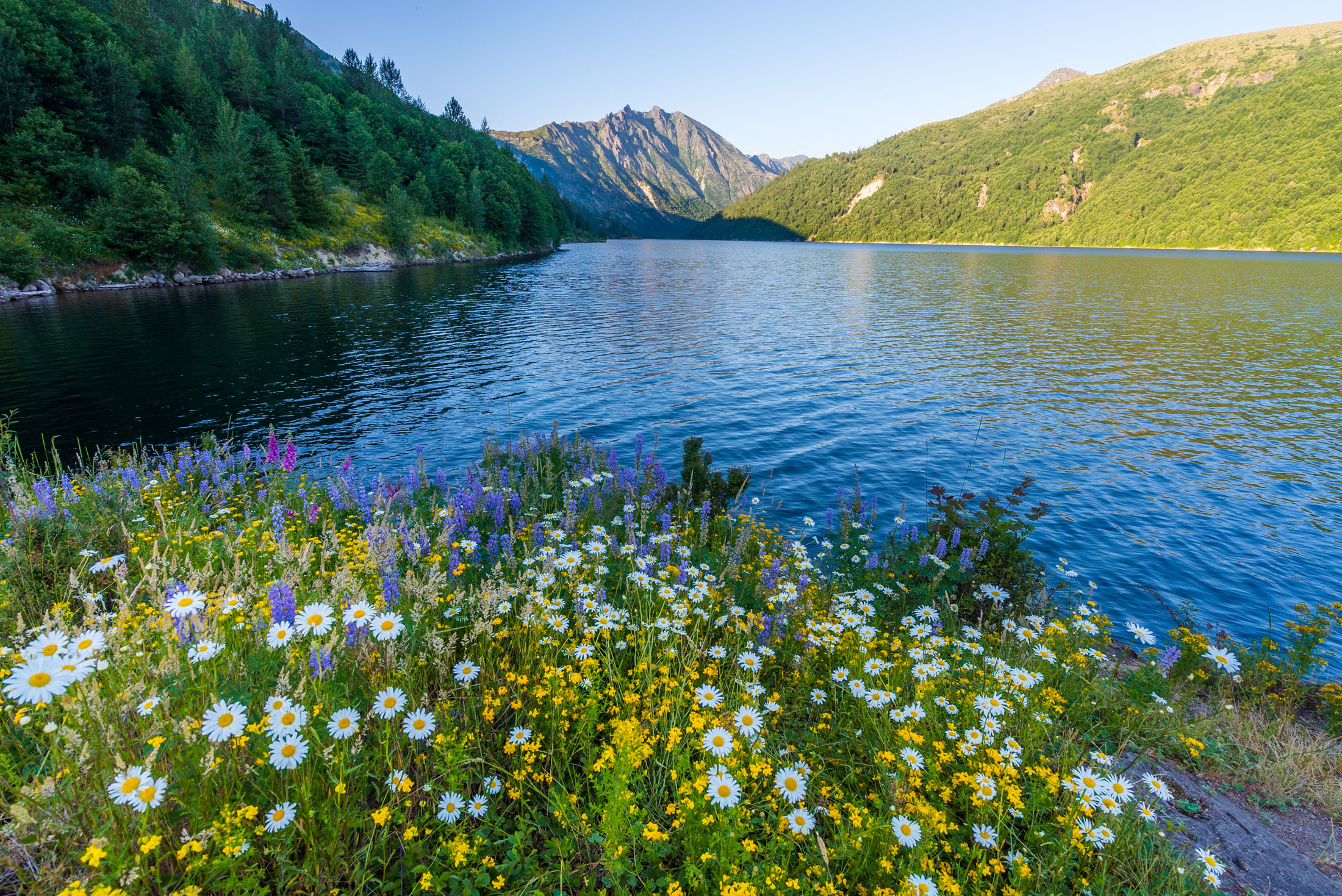 You can find kindness here | Lone Fir Resort